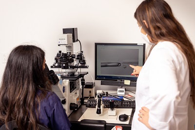 Reproductive Endocrinology and Infertility Fellowship Program ...