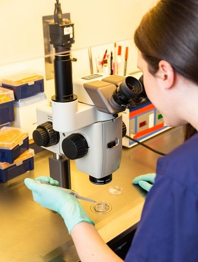 Reproductive Endocrinology and Infertility Fellowship Program ...