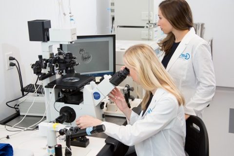 Embryology | REI Fellowship Program